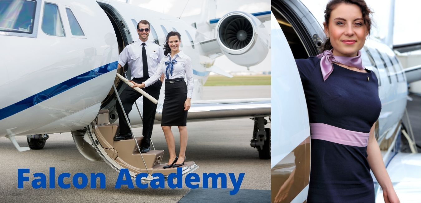 Know More About Us - Falcon Academy - Define your Future
